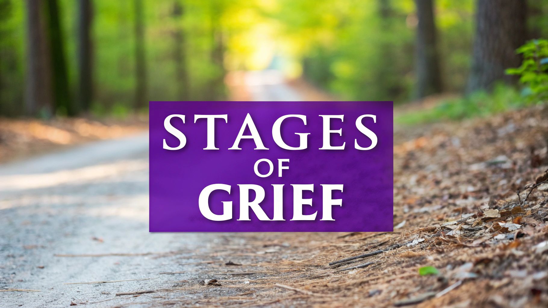 What Are the Stages of Grief: what are the stages of grief and coping ...